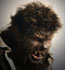 The Wolfman